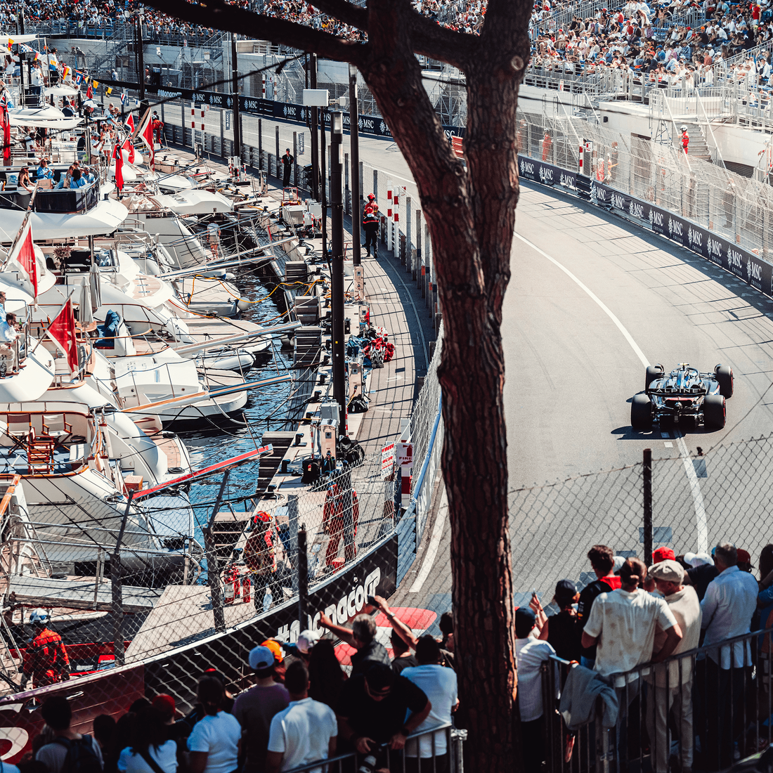 Race Preview: Monaco GP